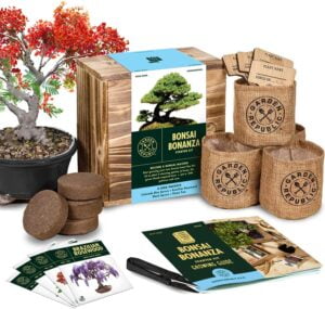 20 of the Best Adult Craft Kits to Gift or Make Yourself