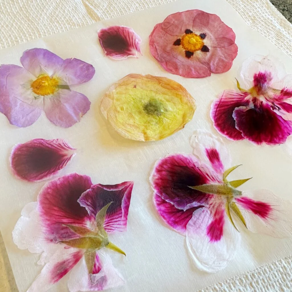 How to Press Flowers - A Beginner's Guide to Flower Pressing